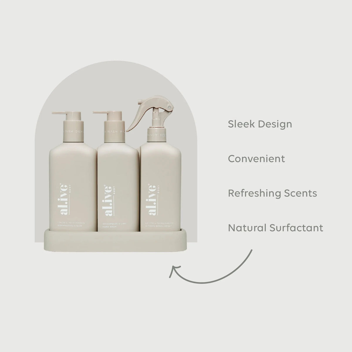 Dishwashing liquid, hand wash & bench spray with tray, Premium Kitchen ...